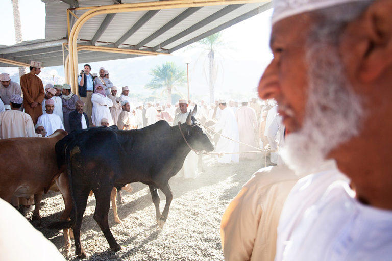 Top 5 places to visit with kids in Oman - Family Corel Adventures