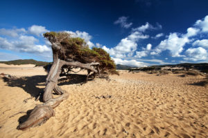Where to travel off season in Europe - our pick - Family Corel Adventures
